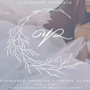 Calligraphy Alphabet Monogram SVG & PNG Letter V - Etsy