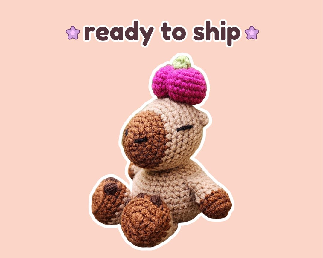 Capybara and Plum Crocheted Plushie *ready to Ship!* - Etsy