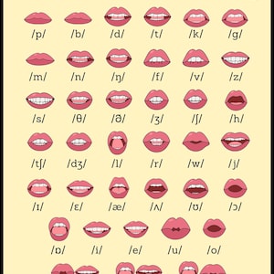 Speech Sound Production Articulation Chart Print | SLP Office Decor ...