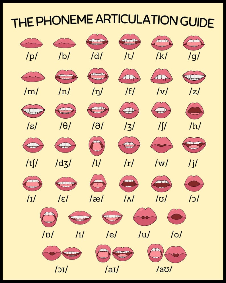 Speech Sound Production Articulation Chart Print | SLP Office Decor ...