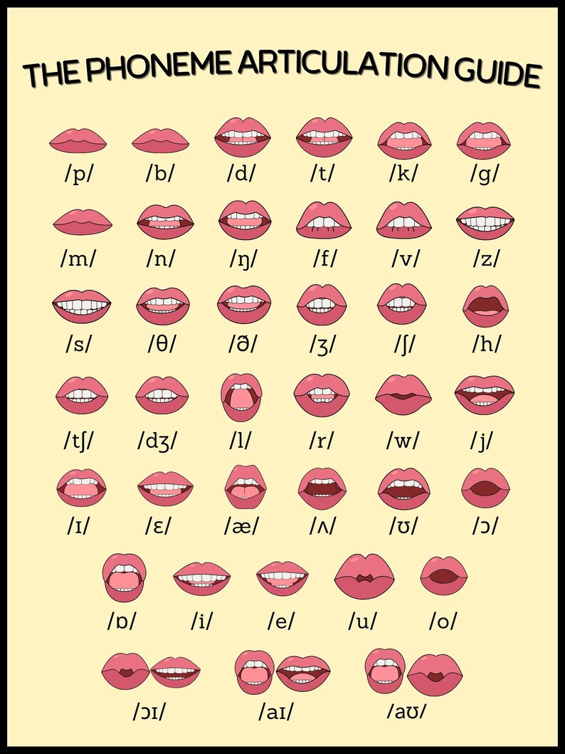 Speech Sound Production Articulation Chart Print | SLP Office Decor ...