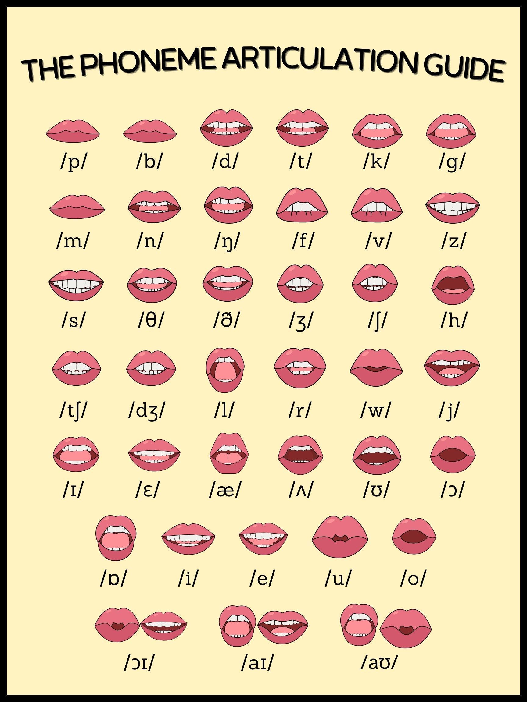Speech Sound Production Articulation Chart Print | SLP Office Decor ...