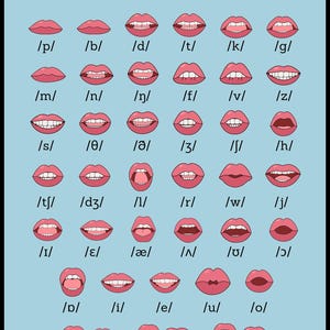 Speech Sound Production Articulation Chart Print | SLP Office Decor ...