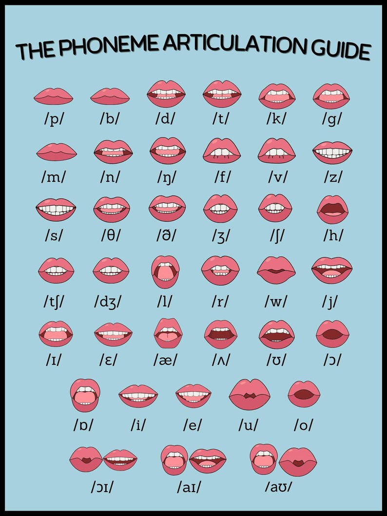 Speech Sound Production Articulation Chart Print | SLP Office Decor ...
