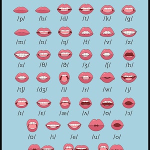 Speech Sound Production Articulation Chart Print | SLP Office Decor ...