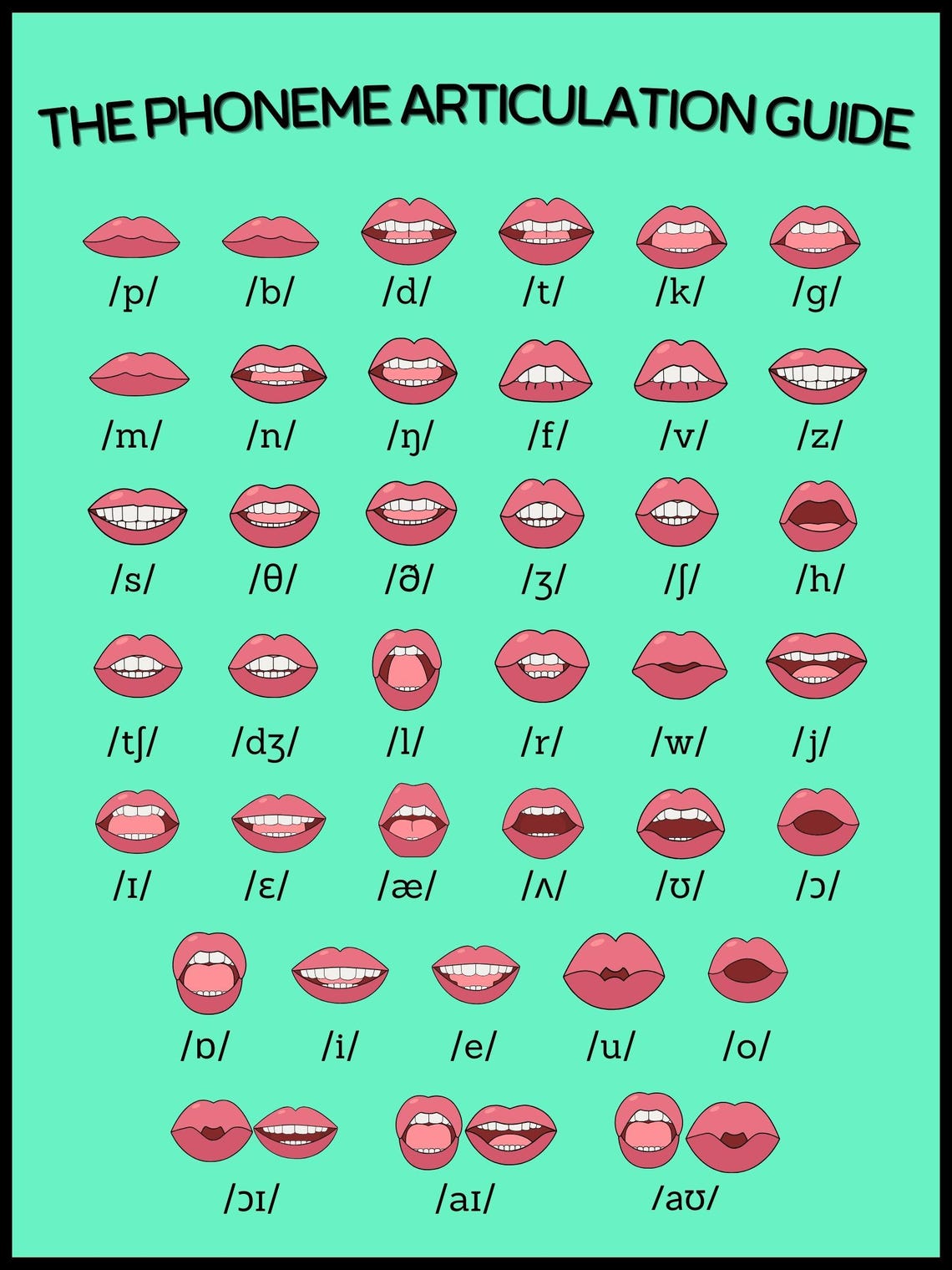 Speech Sound Production Articulation Chart Print | SLP Office Decor ...