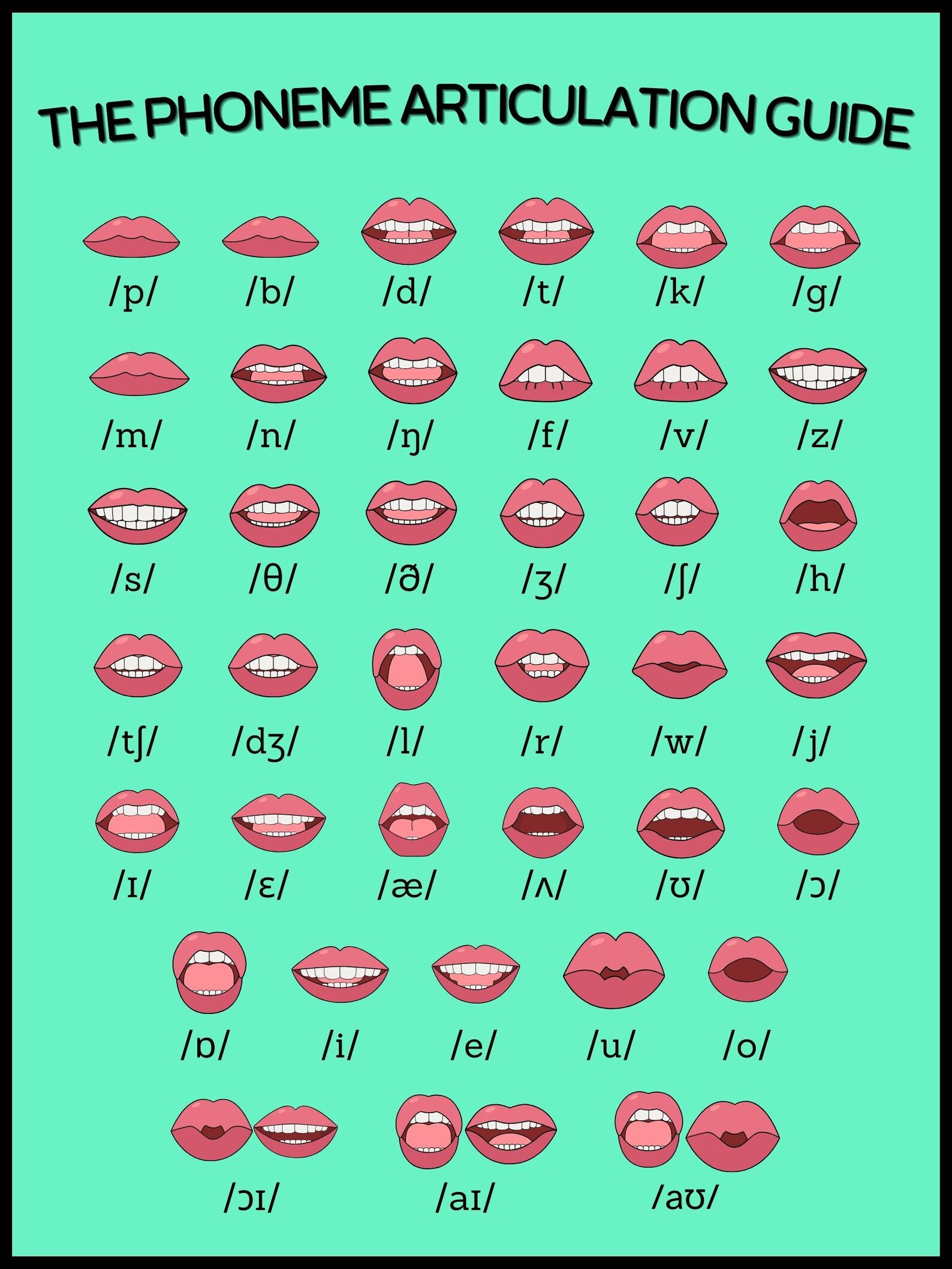 Speech Sound Production Articulation Chart Print | SLP Office Decor ...