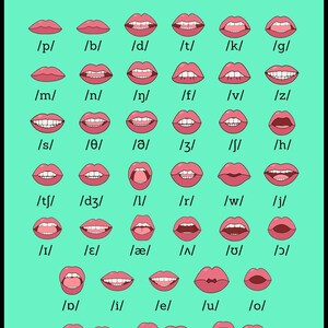 Speech Sound Production Articulation Chart Print | SLP Office Decor ...