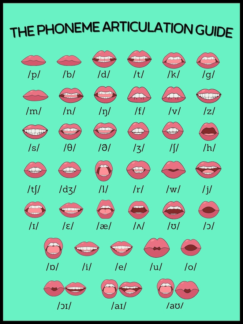 Speech Sound Production Articulation Chart Print | SLP Office Decor ...