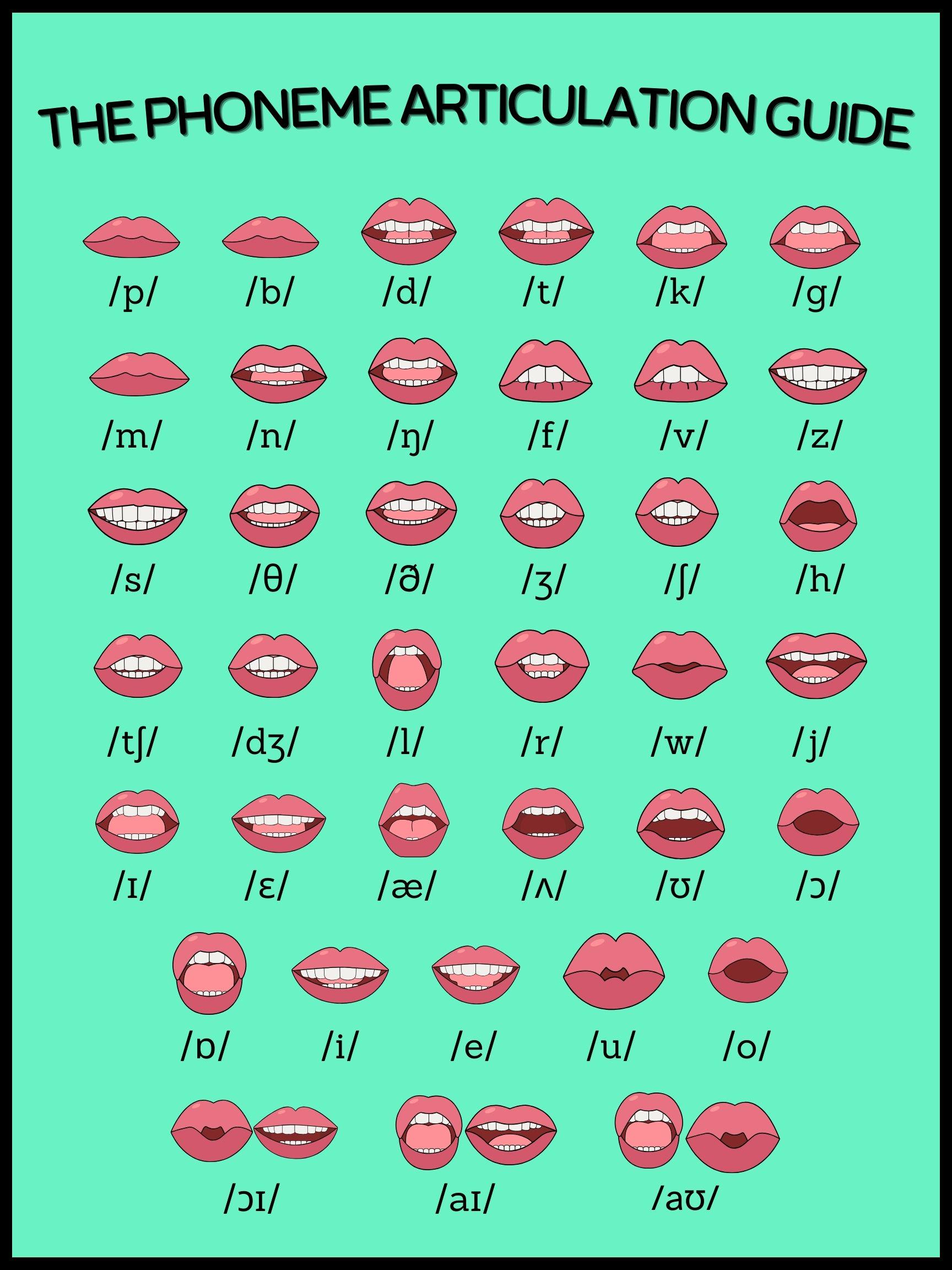 Speech Sound Production Articulation Chart Print | SLP Office Decor ...
