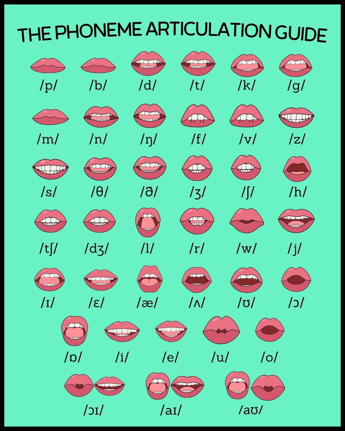 Speech Sound Production Articulation Chart Print | SLP Office Decor ...