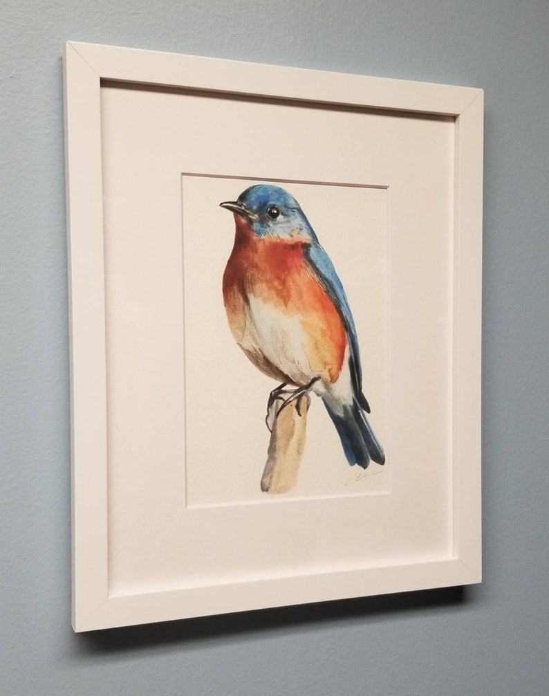 Bluebird. Print of an Original Watercolor Painting. Backyard Bird ...