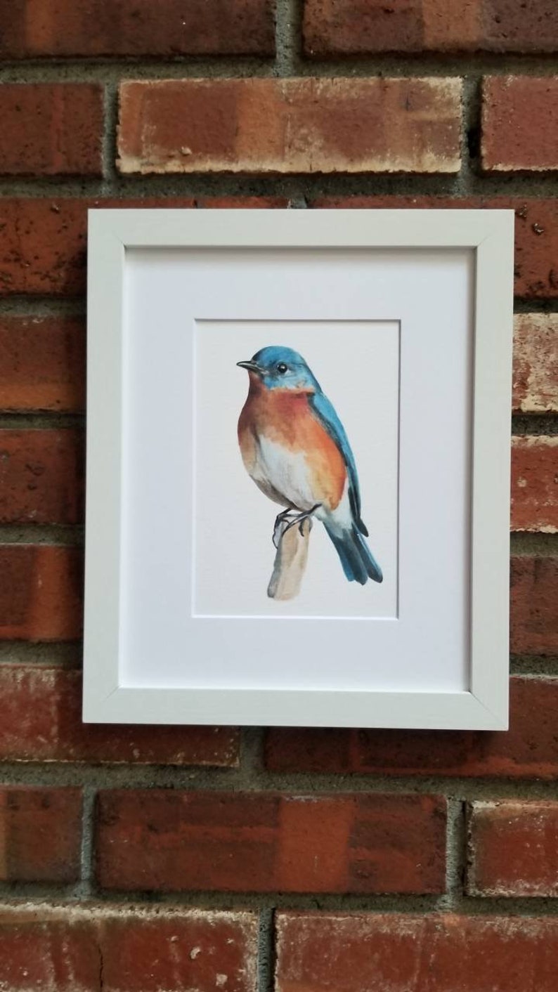Bluebird. Print of an Original Watercolor Painting. Backyard - Etsy