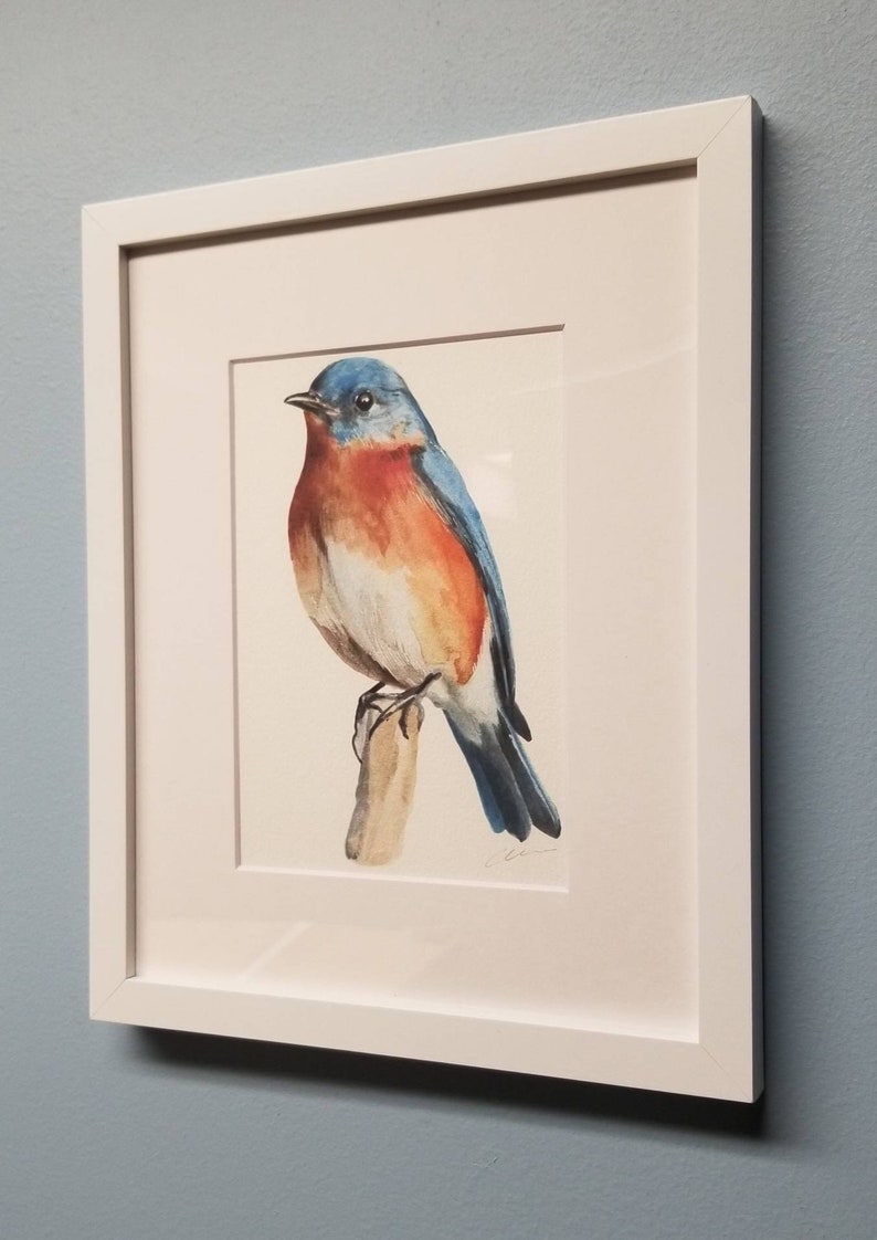 Bluebird. Print of an Original Watercolor Painting. Backyard Bird ...