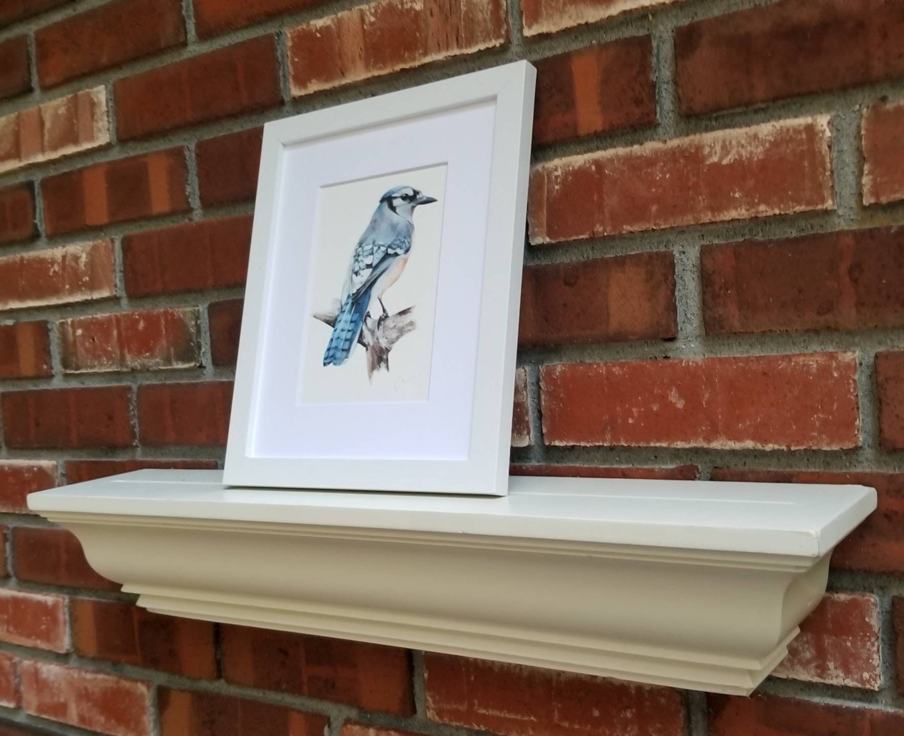 Blue Jay. Print of an Original Watercolor Painting. Backyard Bird. Blue ...