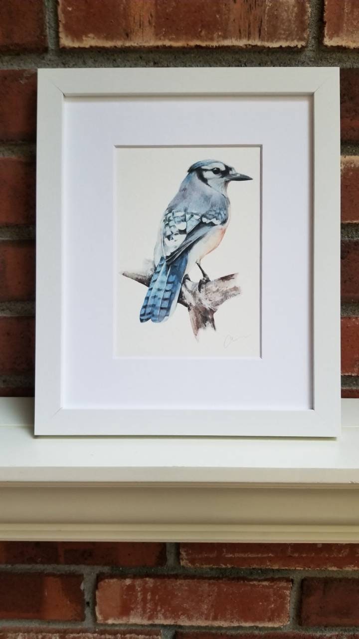 Blue Jay. Print of an Original Watercolor Painting. Backyard Bird. Blue ...
