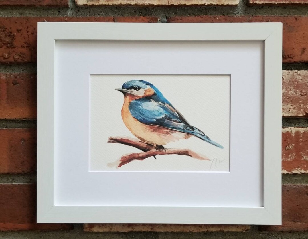 Bluebird. Print of an Original Watercolor Painting. Backyard Bird ...