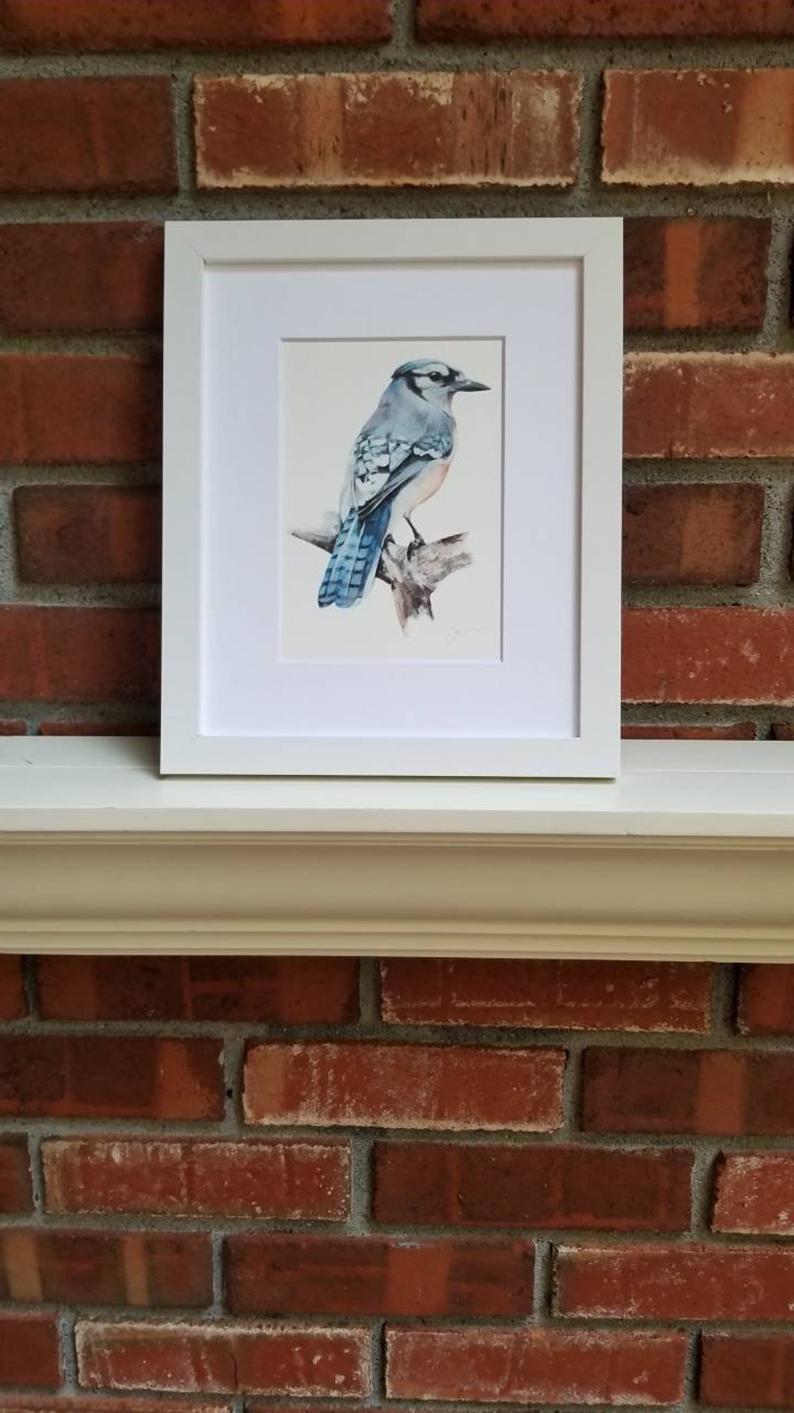 Blue Jay. Print of an Original Watercolor Painting. Backyard Bird. Blue ...