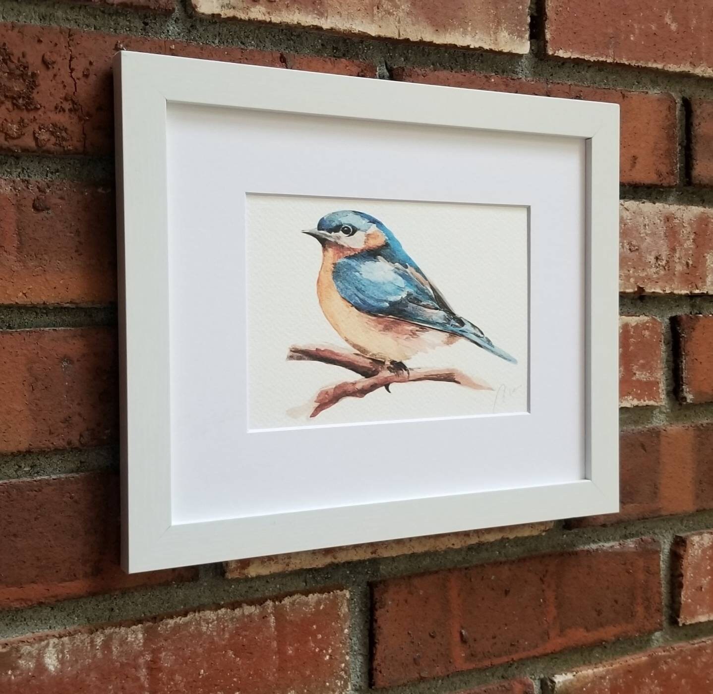 Bluebird. Print of an Original Watercolor Painting. Backyard Bird ...