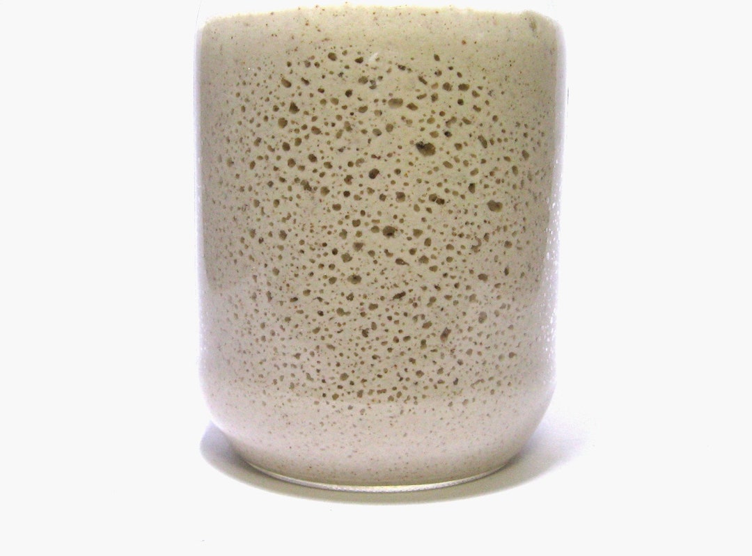 Gluten Free Sourdough Starter, Very Active Levain Bread Starter ...