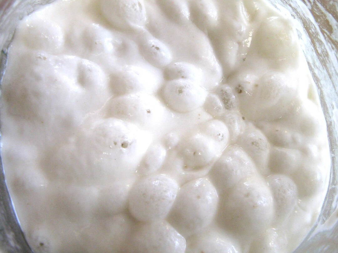 1850 Sourdough Starter, Dry 20 Grams Levain Culture, DIY Bread Making ...