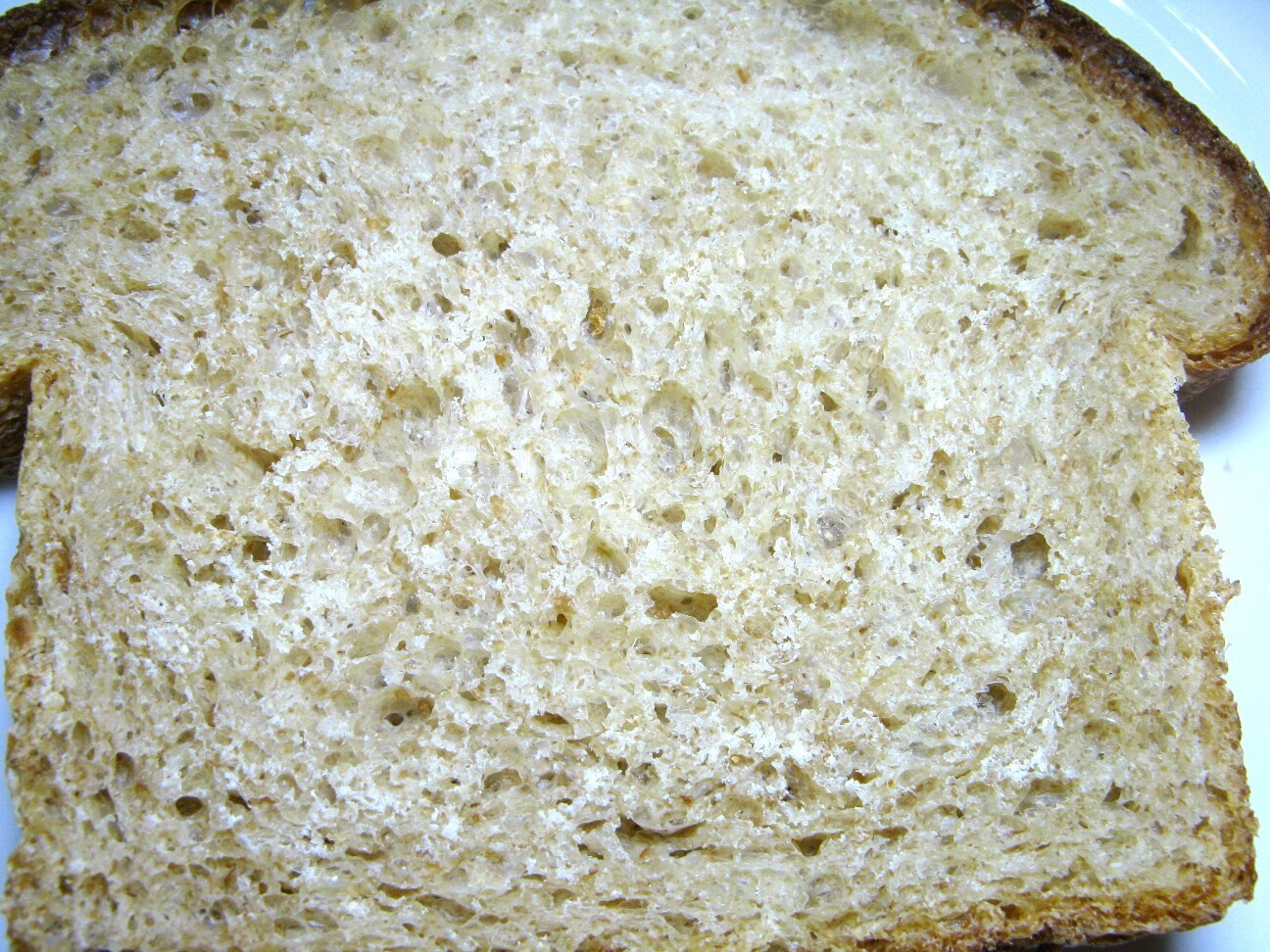 1850 Sourdough Starter, Dry 20 Grams Levain Culture, DIY Bread Making ...