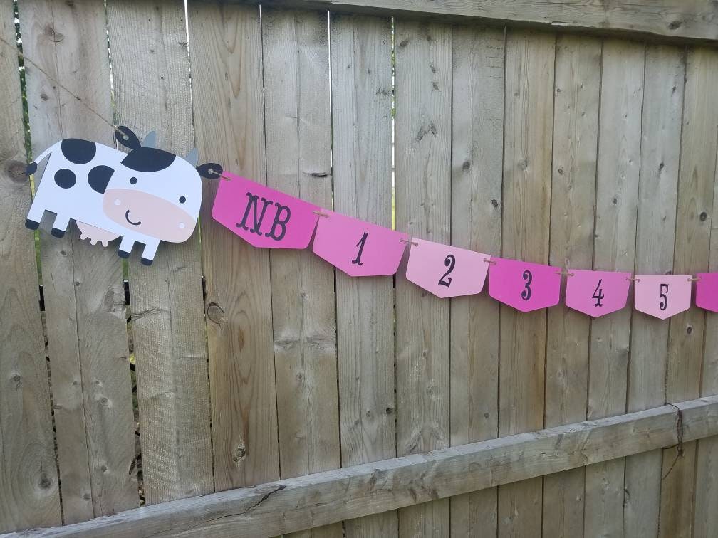 Cow Bannercow Photo Bannerfarm 1st Birthday Banner1st - Etsy