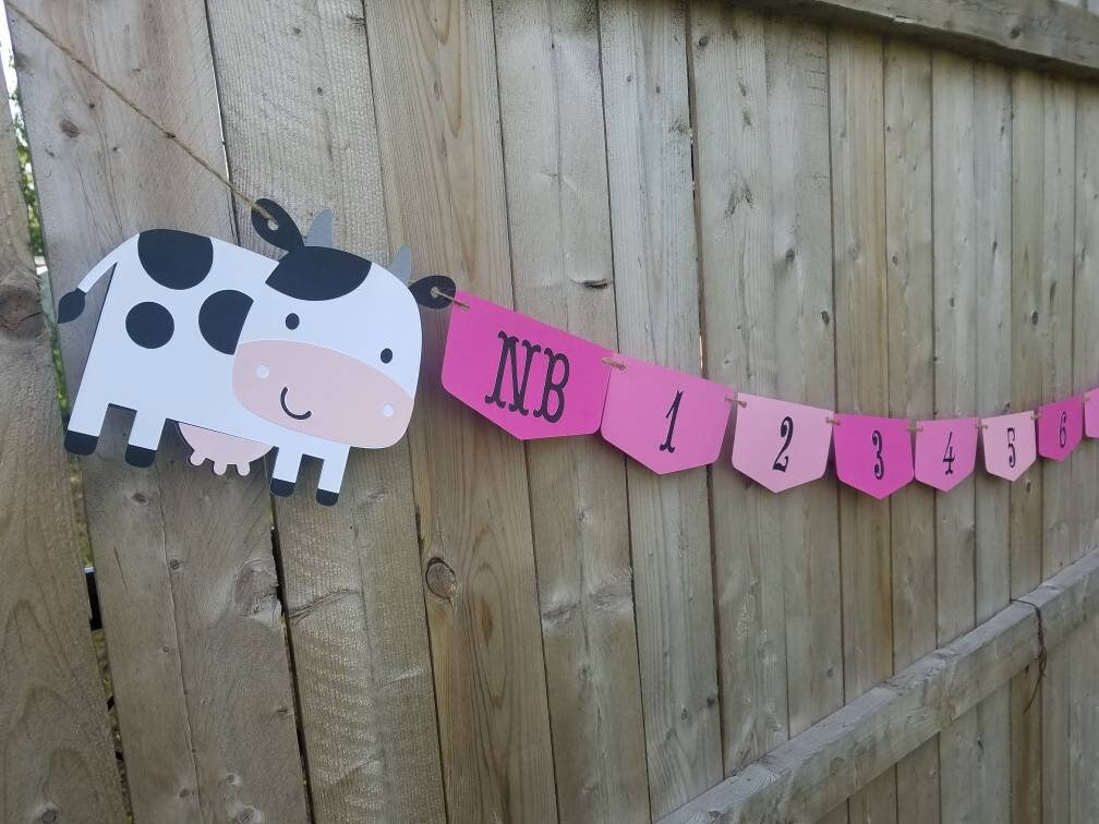 Cow Bannercow Photo Bannerfarm 1st Birthday Banner1st - Etsy