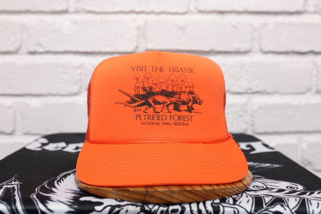 80s Vintage Visit the Triassic Dinosaur Petrified Forest Hat - Etsy