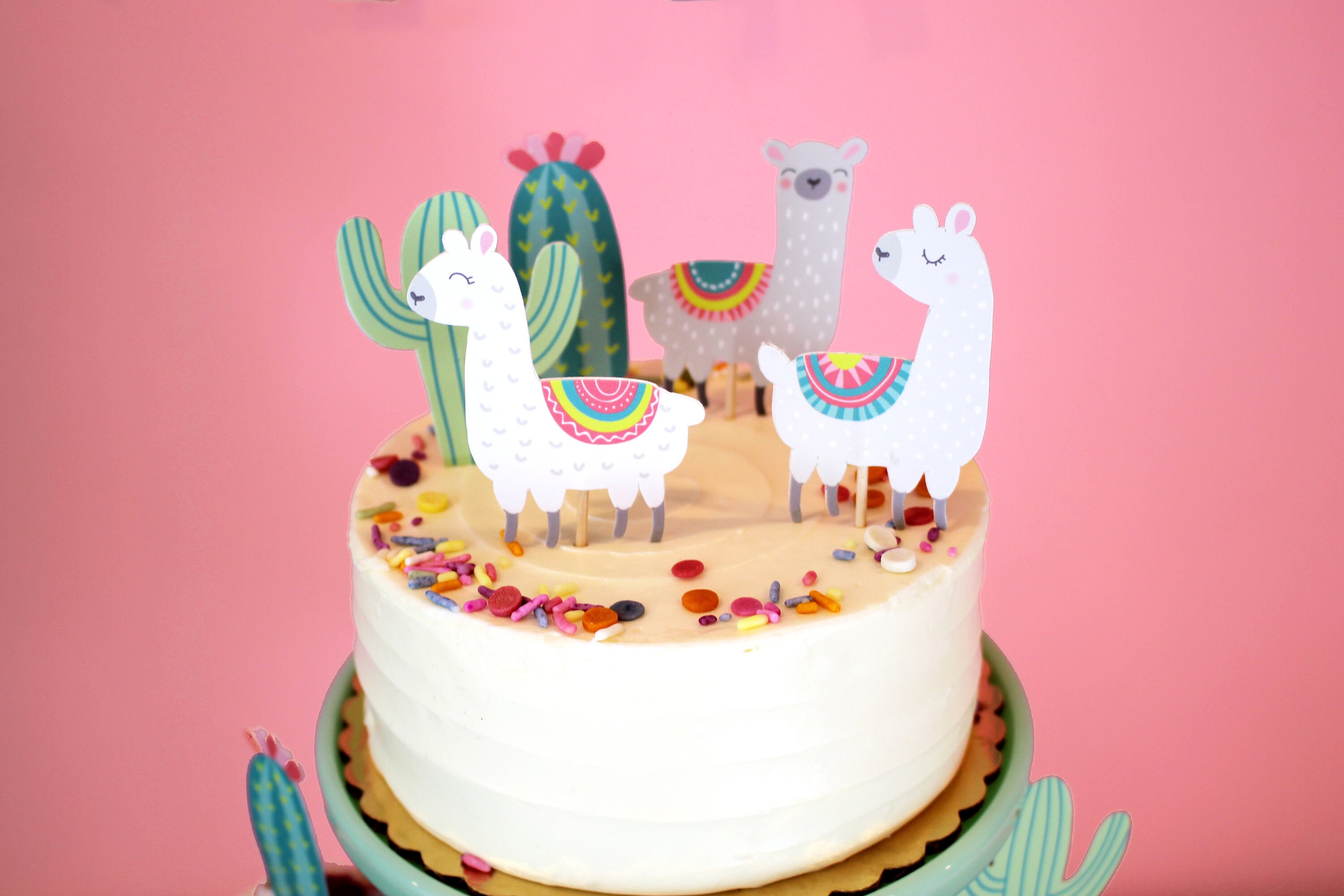 Llama and Cactus 12 Guest Decor Party Set Birthday Party - Etsy