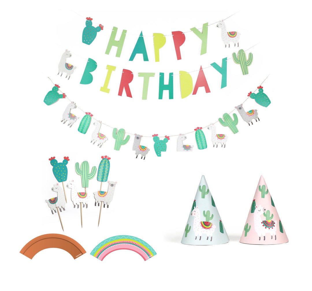 Llama and Cactus 12 Guest Decor Party Set Birthday Party Package Party ...
