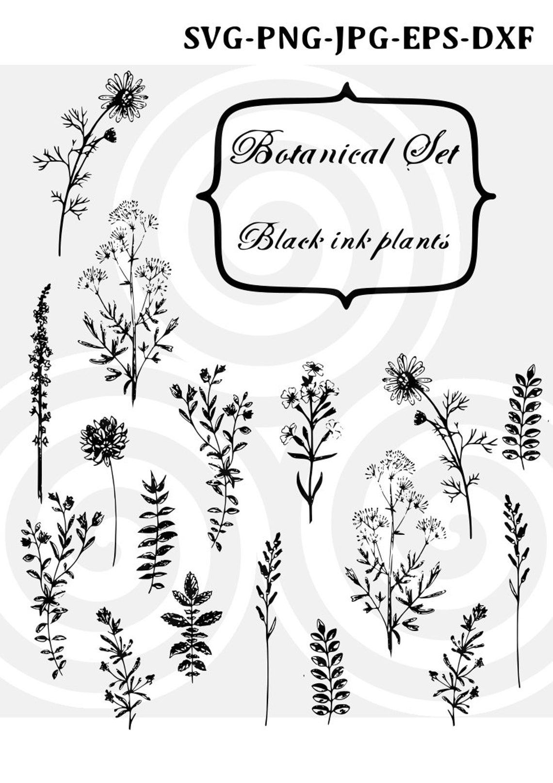 Botanical silhouette Digital ClipArt Transparent Vector | Etsy