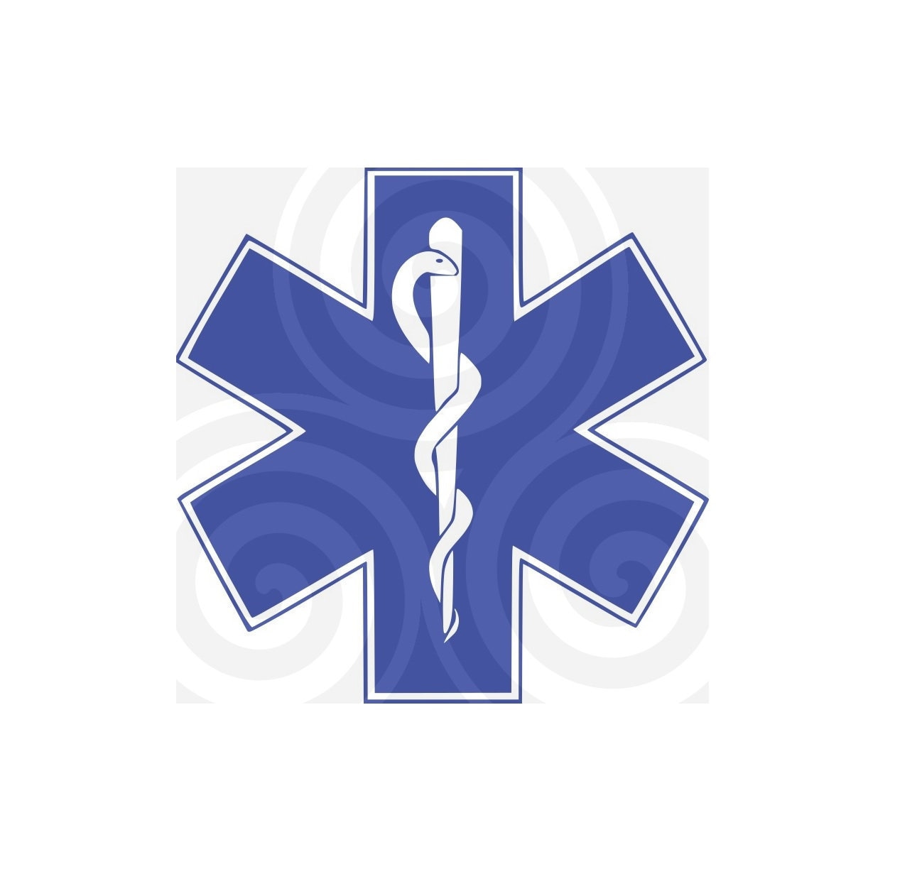 Emt Icon