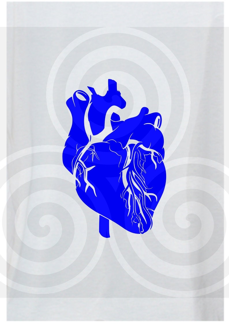 Heart Blood Vessel Human Anatomy Sizable Vector PDF SVG | Etsy