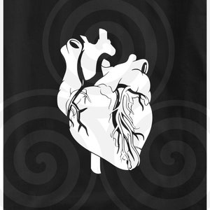 Heart, Blood Vessel, Human Anatomy, Sizeable, Vector, PDF, SVG, PNG ...