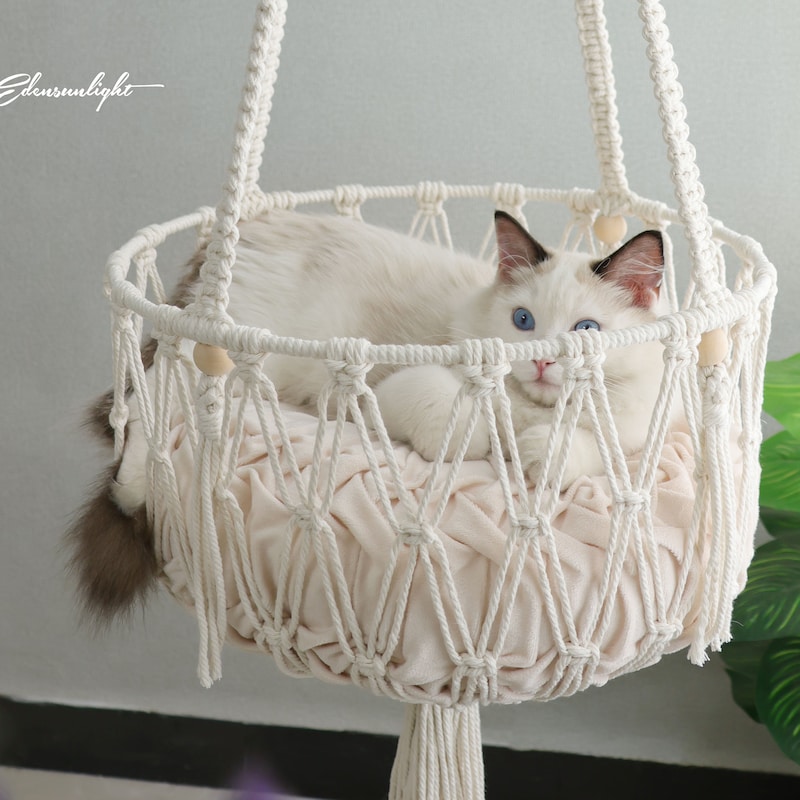 Pet Swing - Etsy