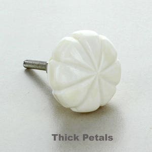 G Decor Horn Bone Door Knobs Cupboard Drawer Door Handles - Etsy UK