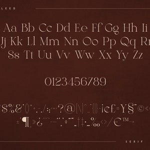 Gleed - Minimal Serif Typeface - Etsy