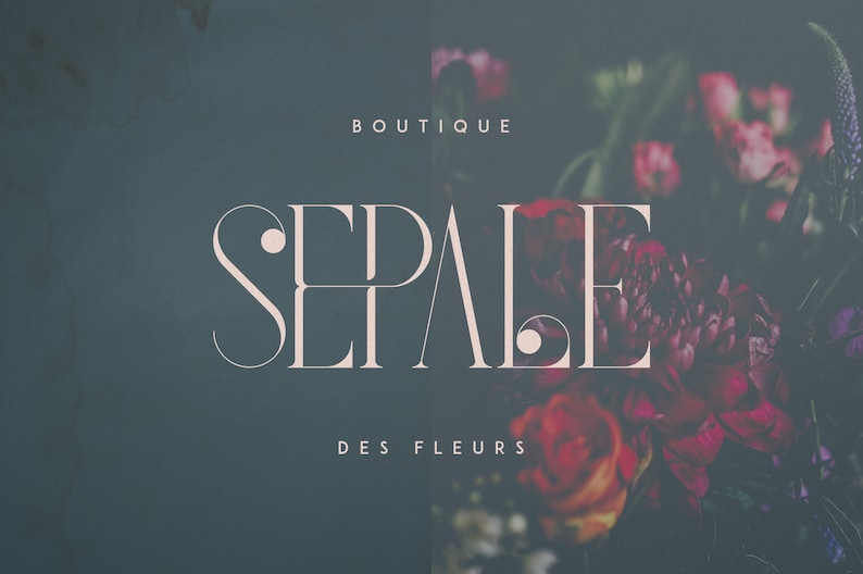 French Typeface 4 Fonts - Etsy