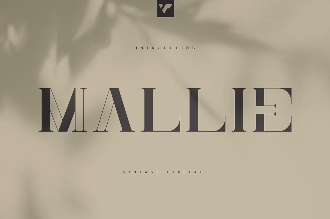 Mallie Fusion Serif Font – Modern Tall Serif Typeface With Elegant ...