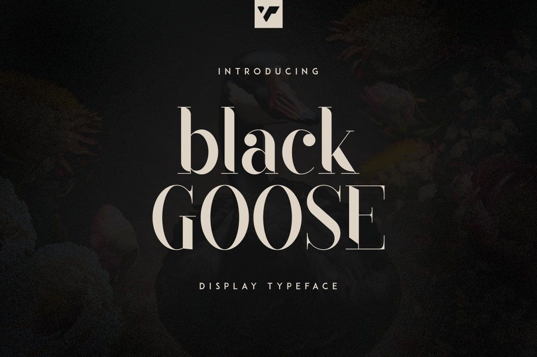 Black Goose - Display Typeface, Logo Font, Headline Font, Branding Font ...