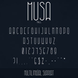 Musa Display Typeface - 12 Fonts - Etsy