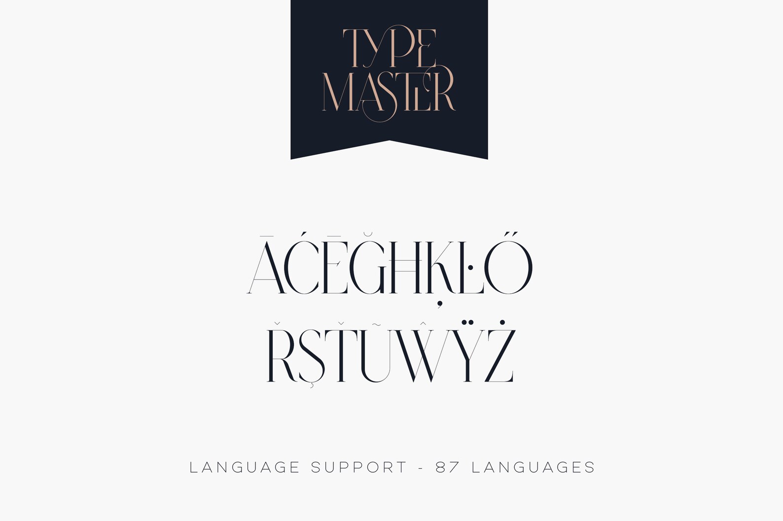 Type Master Ligature Serif Font – Sophisticated Typeface With 100 ...