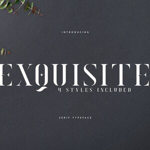 Exquisite - Serif Typeface|4 Styles - Etsy