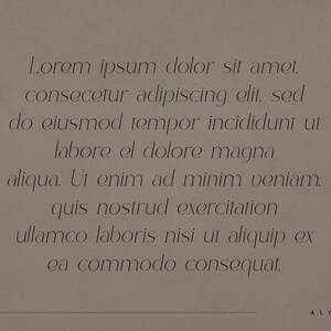 Font Bundle Vol.3 - 30 Fonts - Etsy