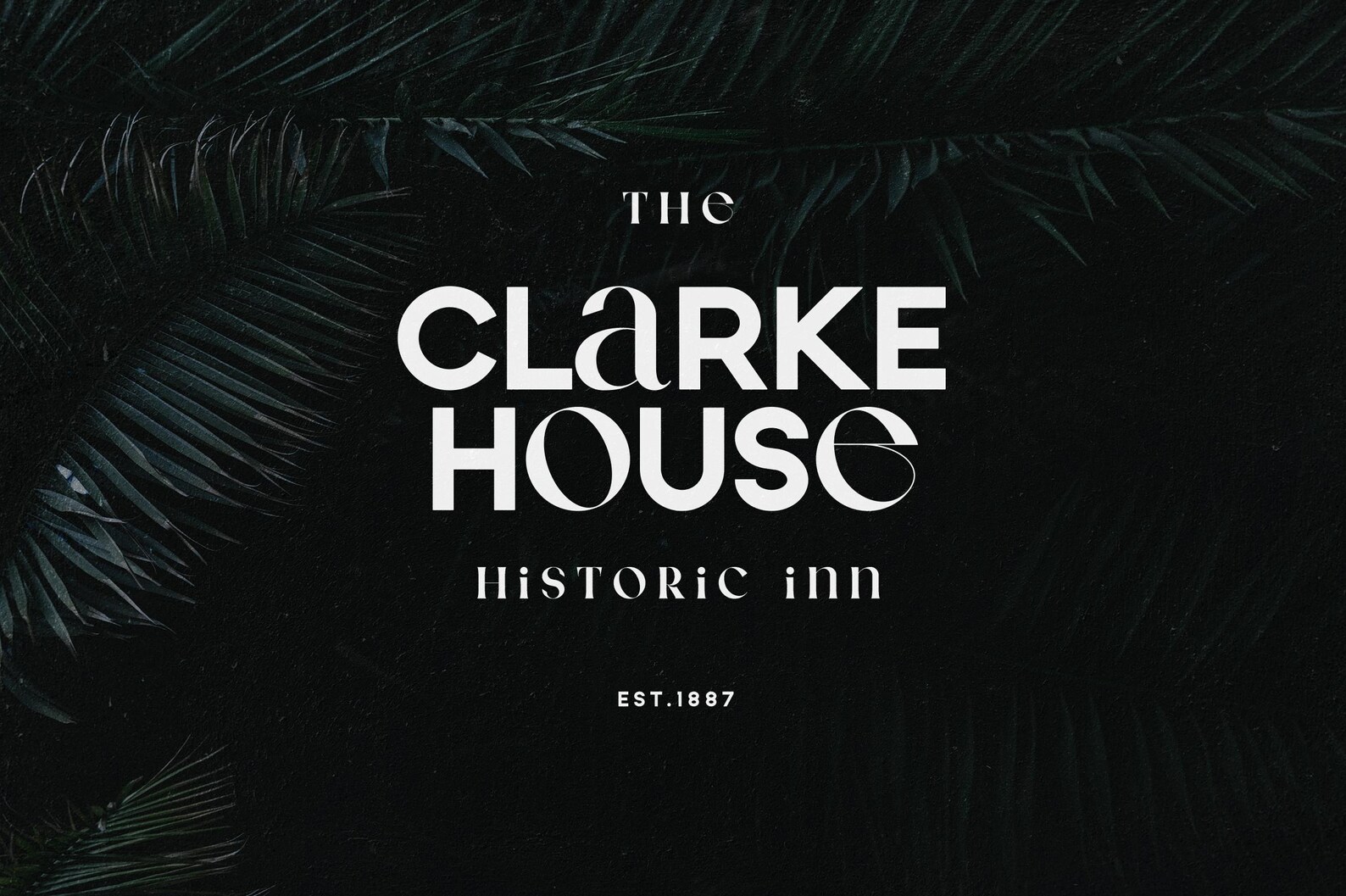 Neat Type Elegant Fusion Font • Instant Download • Serif-sans Hybrid ...
