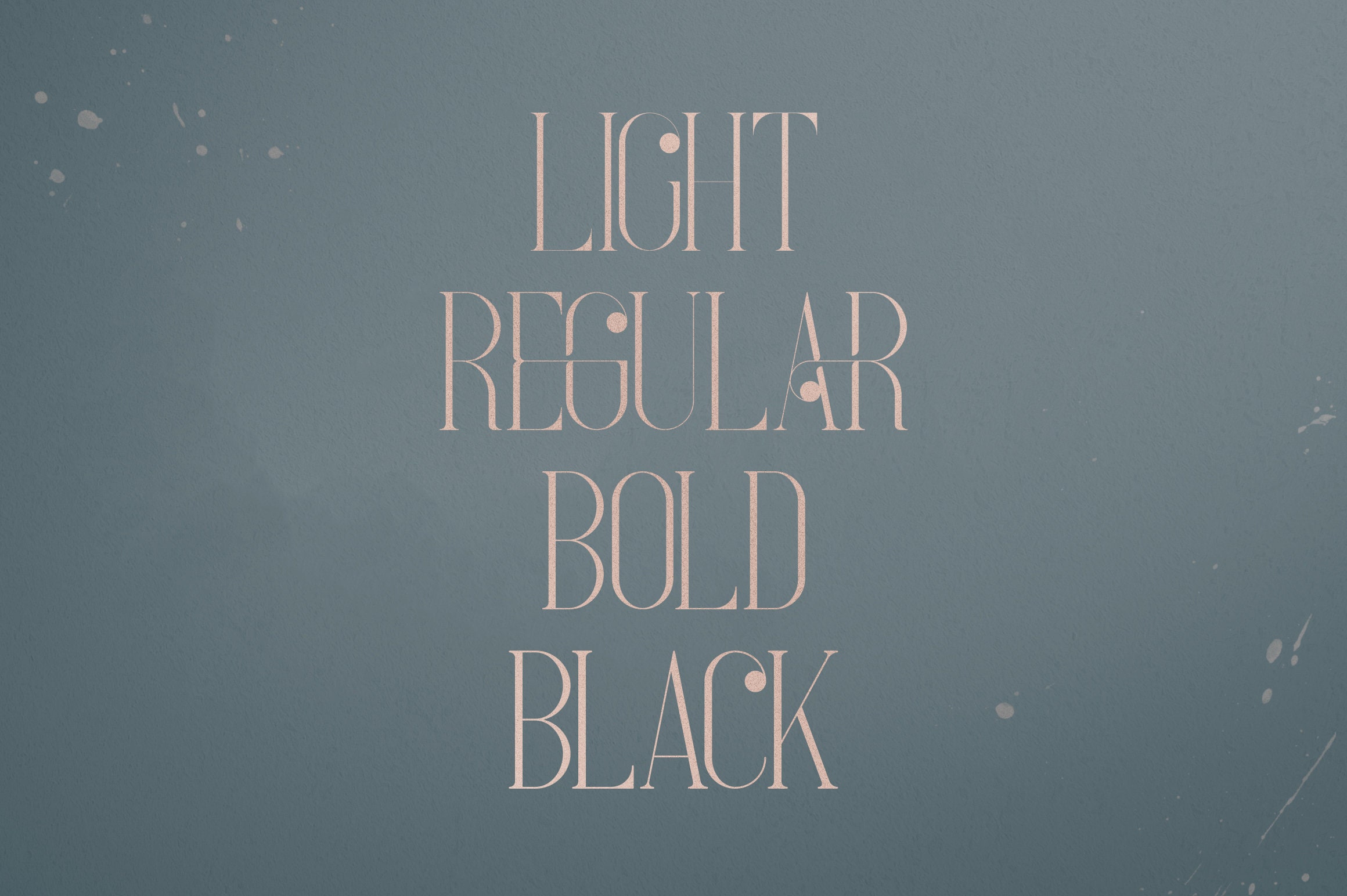 French Typeface 4 fonts | Etsy