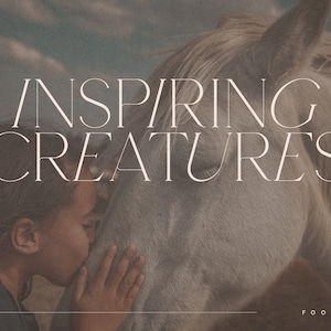 Font Bundle Vol.3 - 30 Fonts - Etsy