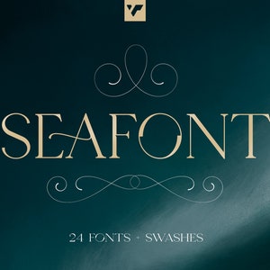 Seafont - Serif Typeface, 25 Styles - Etsy