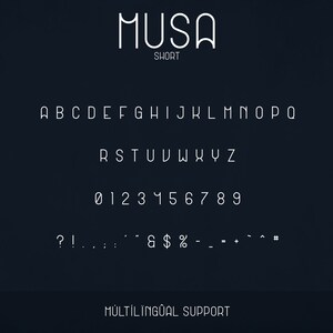 Musa Display Typeface - 12 Fonts - Etsy
